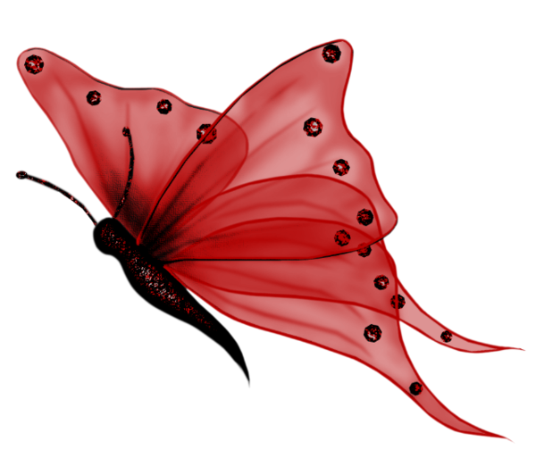 papillon rouge